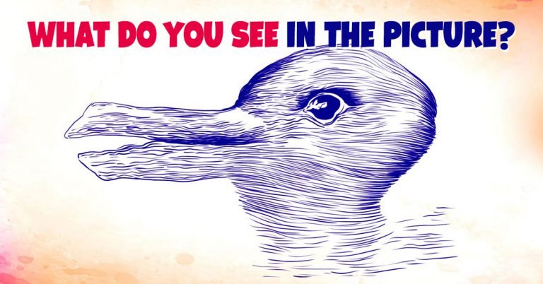 What Do You See in the Picture: A Duck or a Rabbit? – Cook It