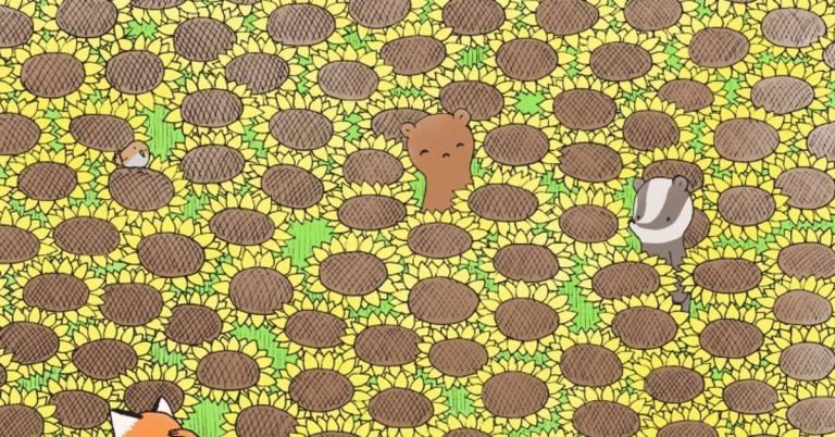 Dudolf's Hidden Object Game: Where's the Butterfly? – Cook It