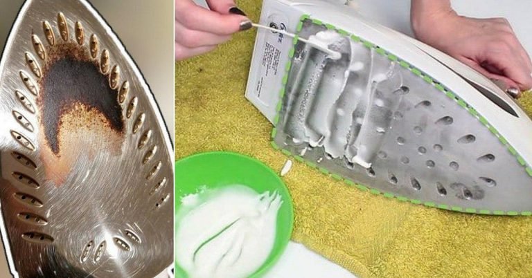 How to Clean an Iron in 7 Minutes Without Damaging the Surface – Cook It