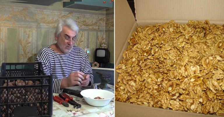 How to Crack Walnuts Without Damaging the Kernel – Cook It