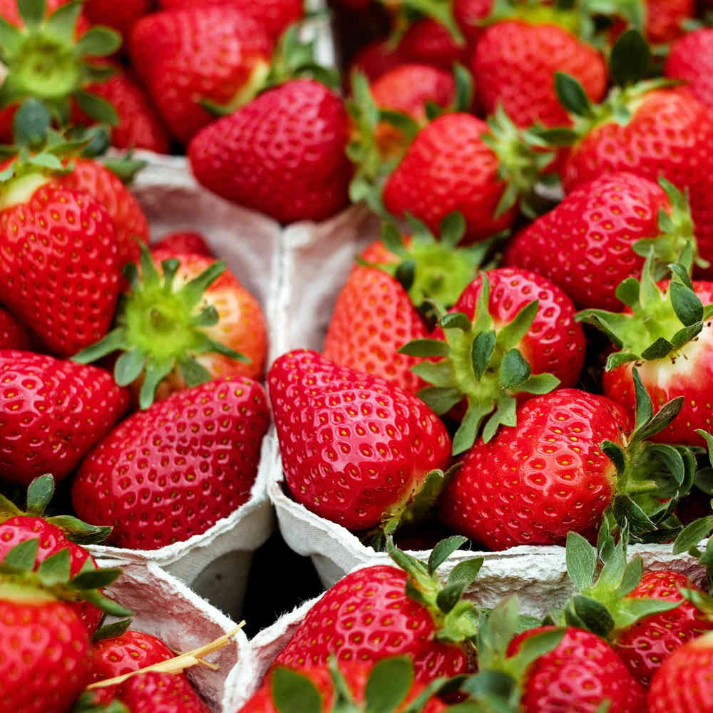 How to Keep Strawberries Fresh β Cook It How to Keep Strawberries Fresh β Cook It