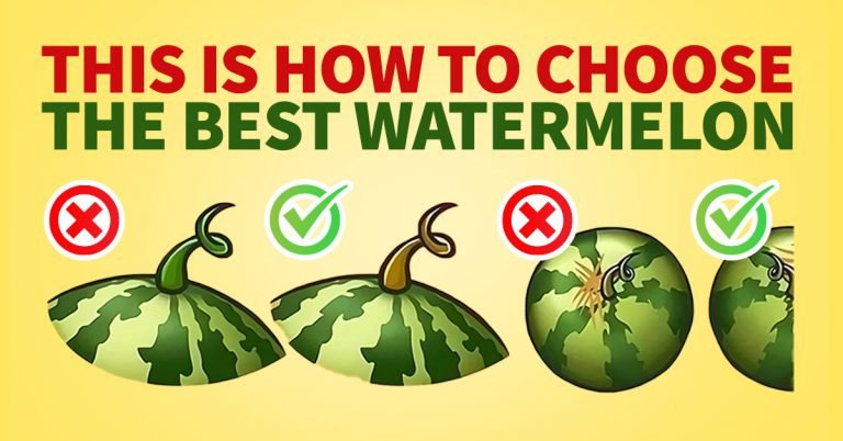How to Pick a Watermelon: Five Key Tips – Cook It