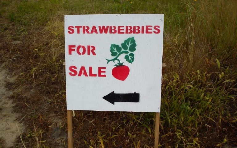 Misspelled Food Labels: Not the Word You Were Looking For – Cook It