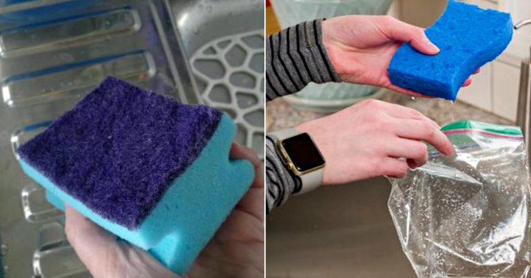 Old Sponge Hacks – Cook It