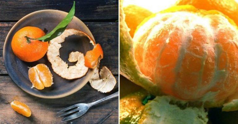 Tangerine Peel Uses – Cook It